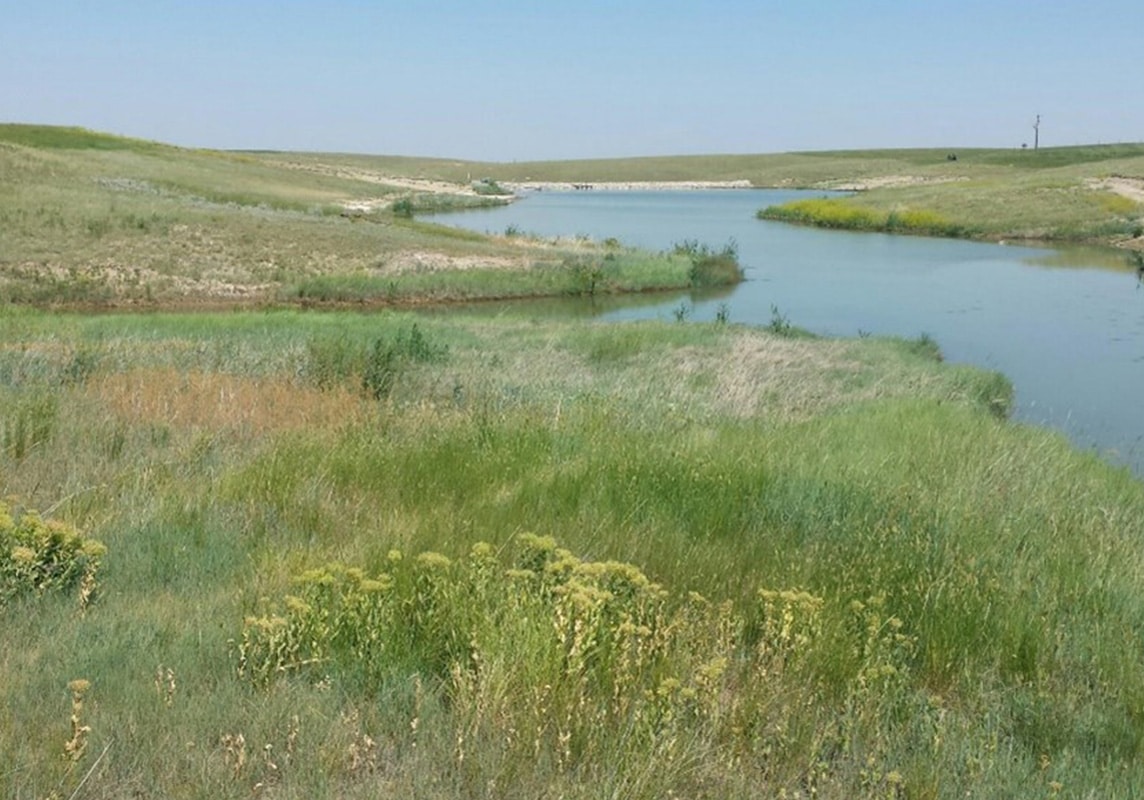 How to Mitigate Irrigation Water Loss | Morrison-Maierle